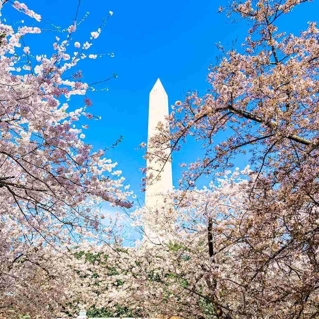 Best Guide to 100+ Famous Washington DC Landmarks & Sites - That Travel Fam