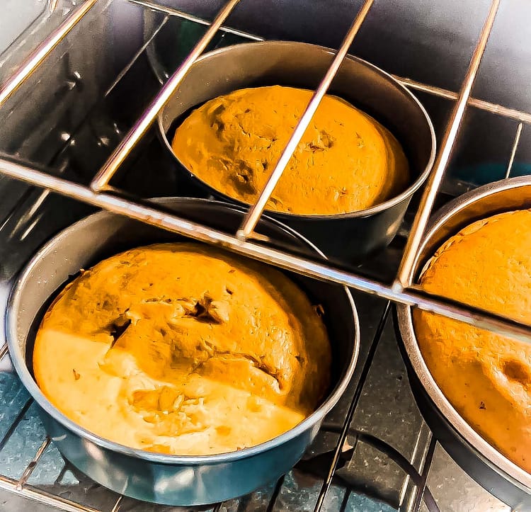 Best Cake Baking Tips: Substitute Butter for Oil - That Travel Fam