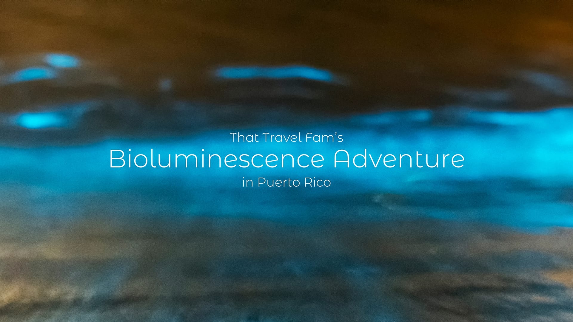 Bioluminescent Puerto Rico Beaches at Night: A Magical Experience You ...